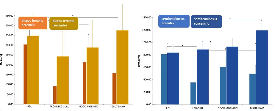 Romanian Deadlift is Hamstring Exercise #1: Glute-Ham Raises Not Bad ...