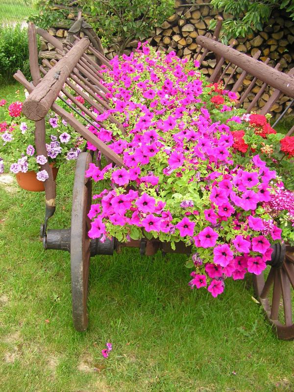 Amenajari Gradini si Spatii Verzi: Flori pe roti - Decoruri inedite ...