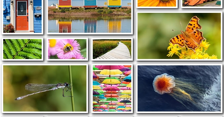 Bitstop: August Collage