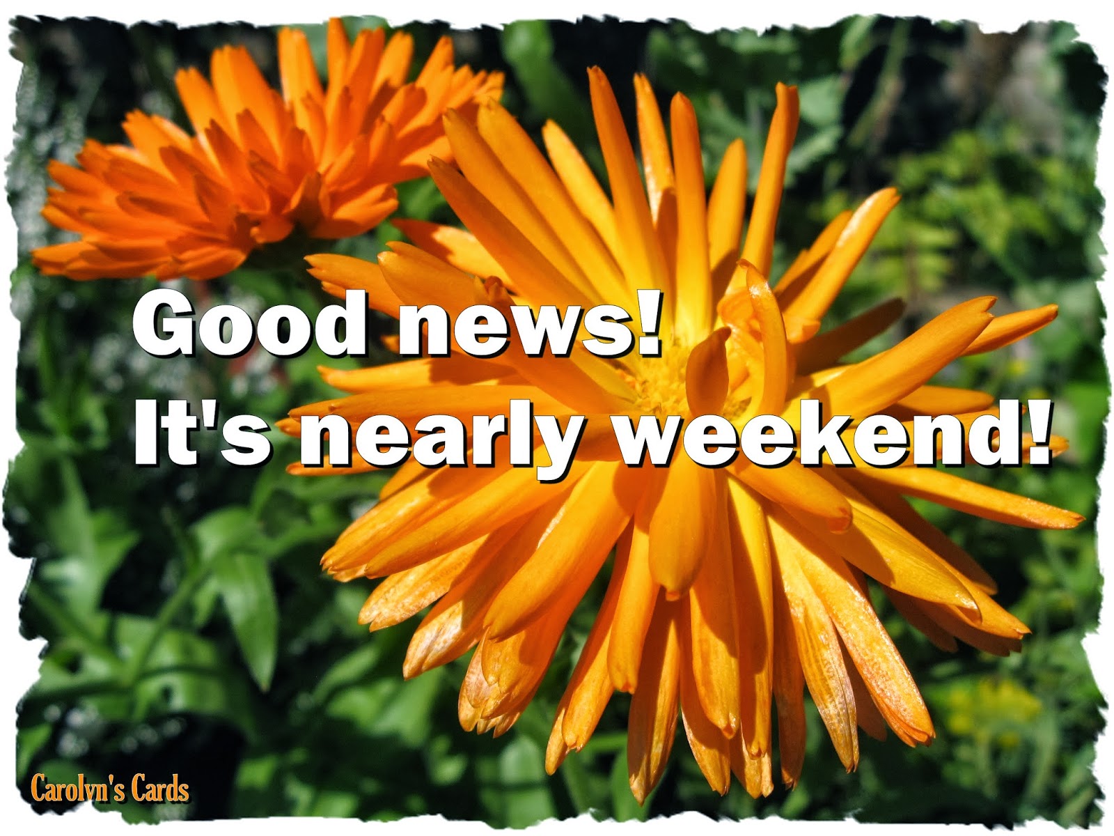 Open Your Eyes. Life Is Beautiful: Good news! It's nearly weekend!