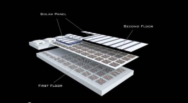 SINGA: The Next Generation Container Port