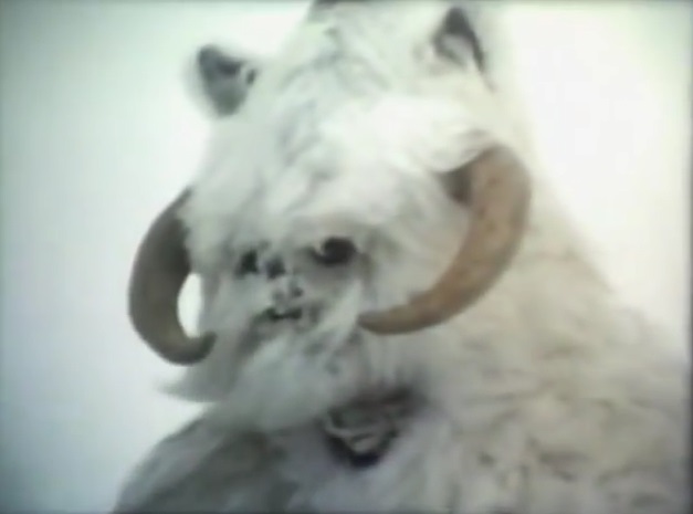 STAR WARS AFICIONADO WEBSITE: AN 'EMPIRE' AT 40: DES WEBB IS THE WAMPA!