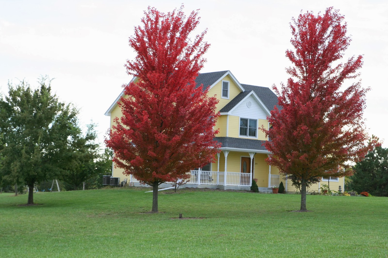 Alice Dreaming: For the Love of Autumn