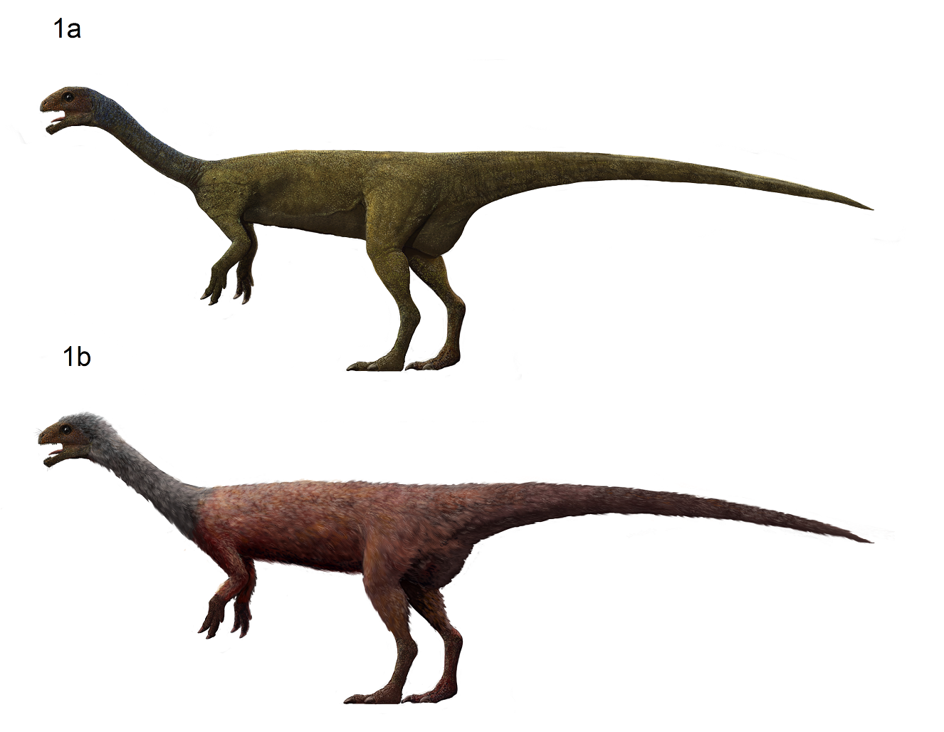 La imagen de Chilesaurus diegosuarezi viaja al XV EJIP | Dinosaurios ...