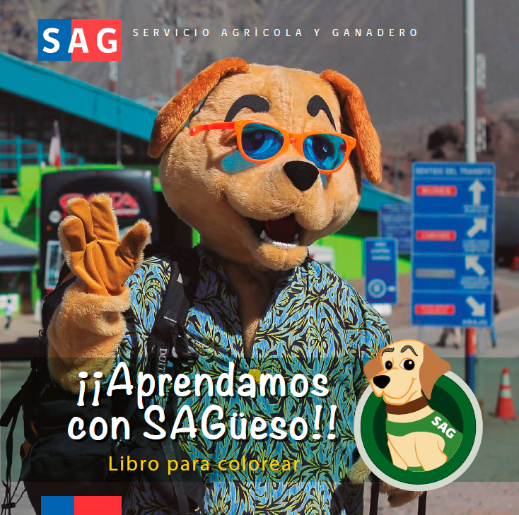 Biblioteca SSCC: ¡¡¡APRENDAMOS CON SAGüeso: libro para colorear!!! / SAG