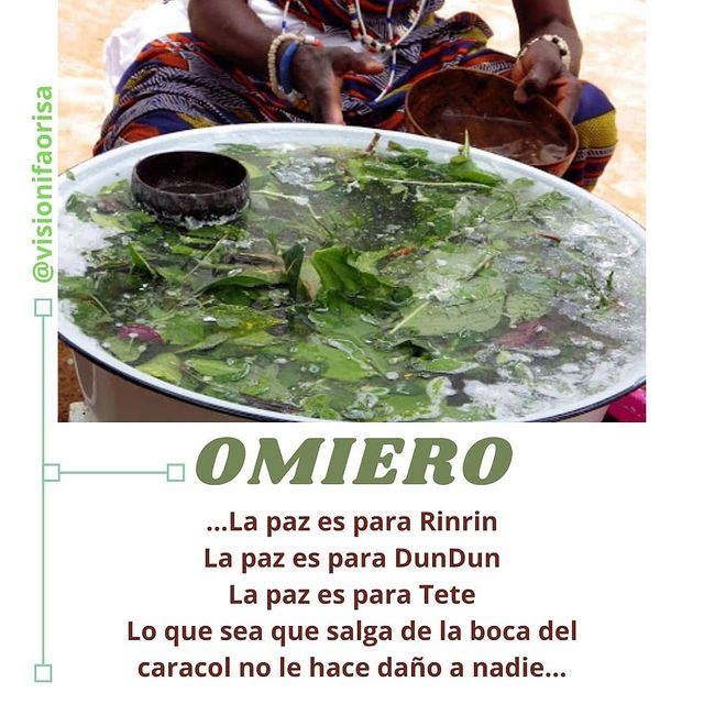 Revista Digital @visionifaorisa: OMIERO