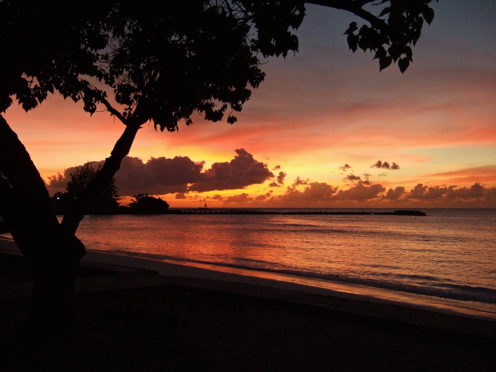 Photographer's Garden: Longer and longer