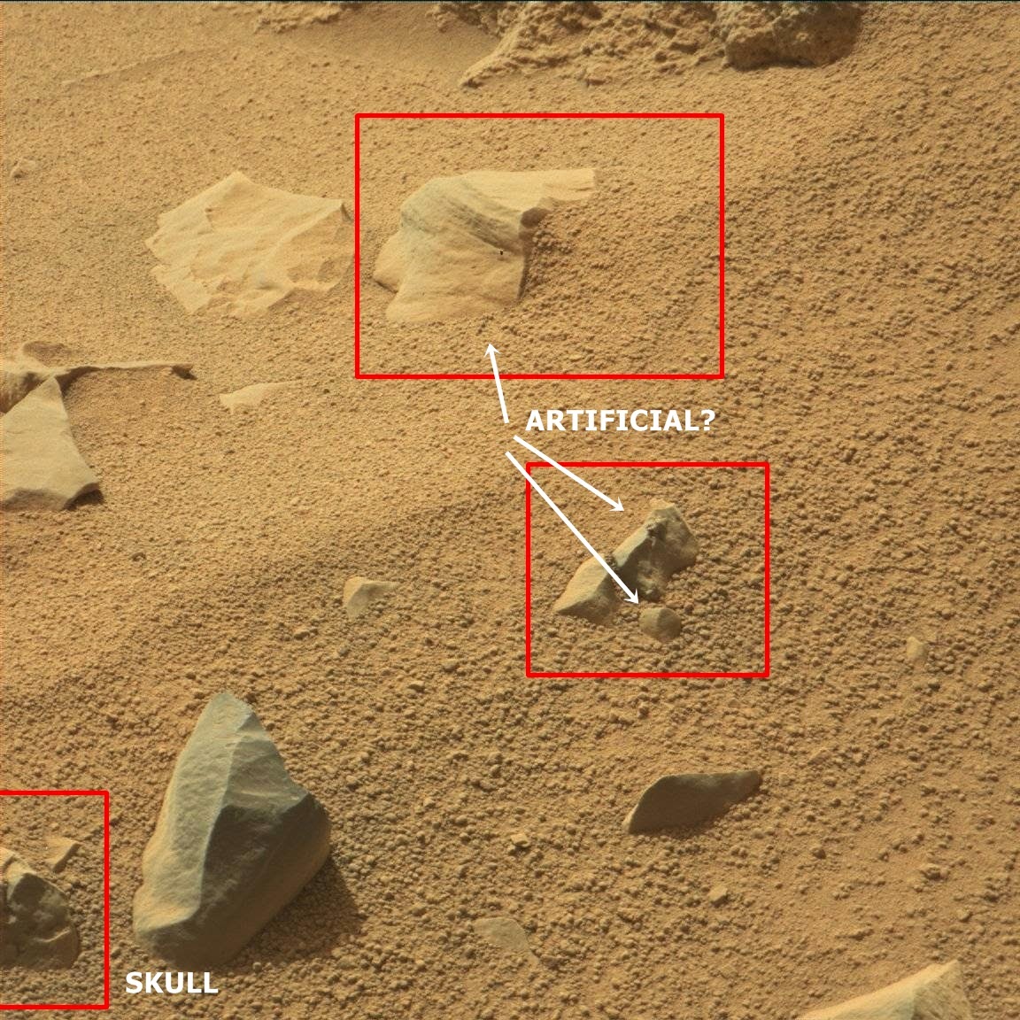 Curiosity captured fossilized skull on Mars?