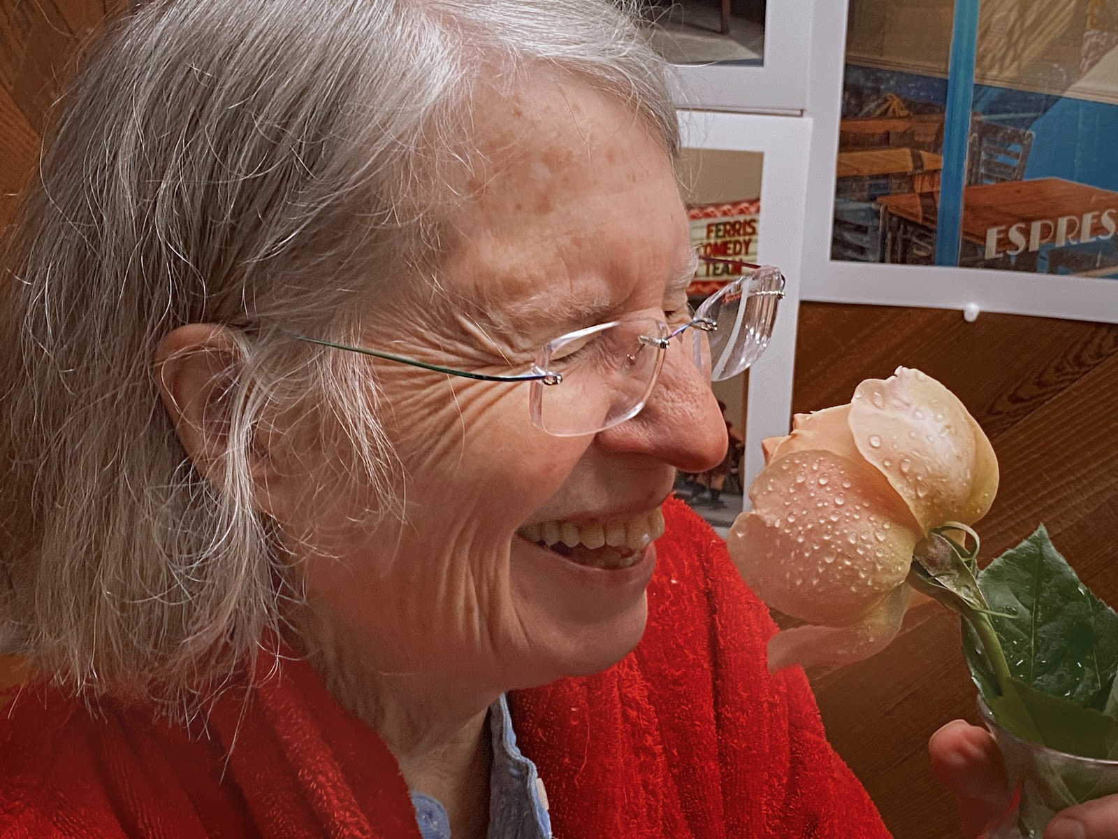 Sarah Smells Jude The Obscure Rose