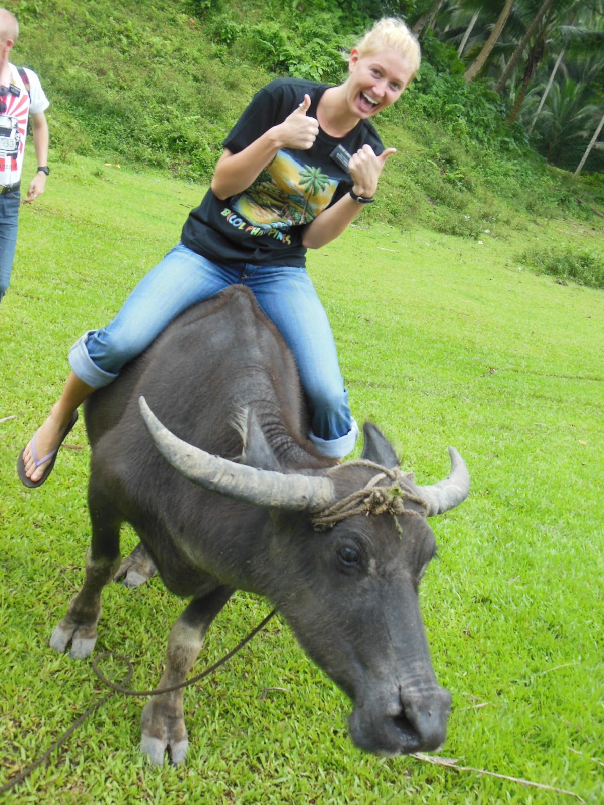 Snippets & Snapshots : Water Buffalo Riding