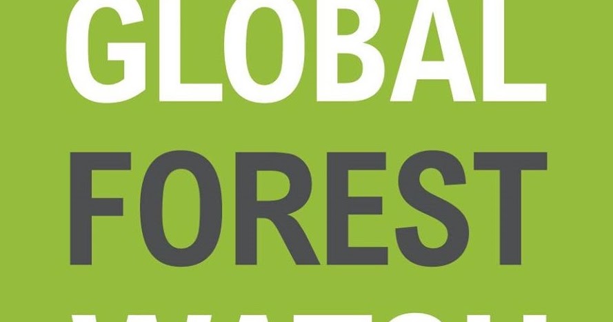 Global Forest Watch - Discover The Forest