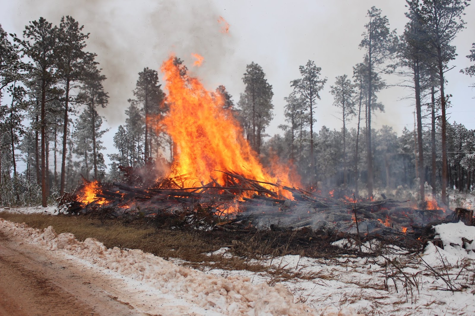 Great Plains Fire Information: 2019