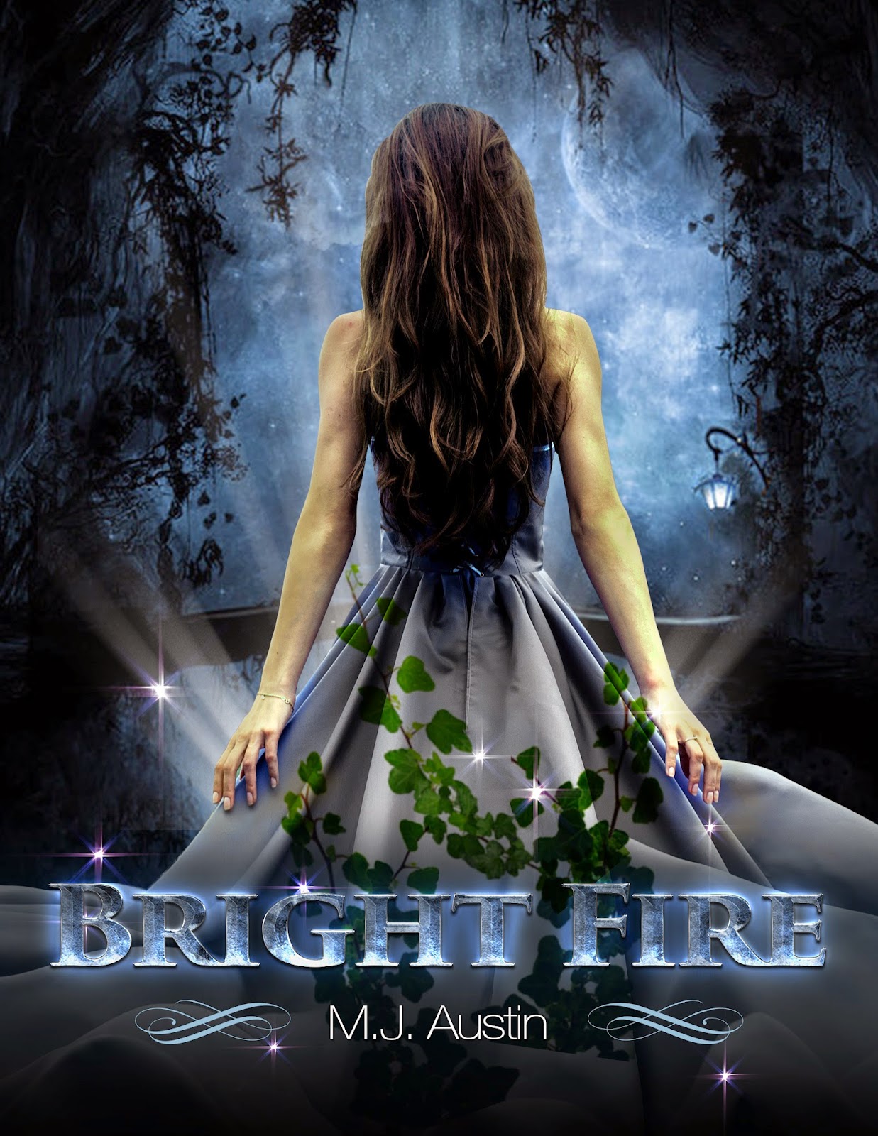 Kay LaLone : My Review Of Bright Fire By M. J. Austin