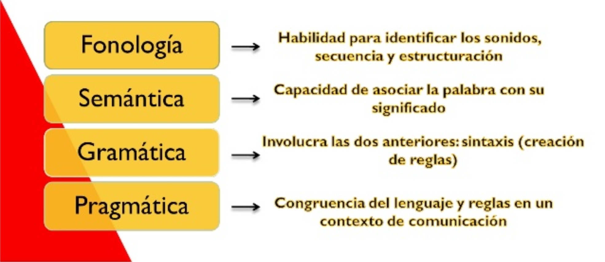 COMPONENTES DEL LEGUAJE
