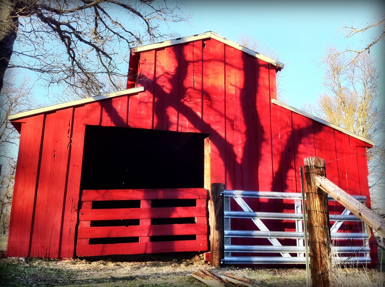 riddlelove: The Big Red Barn