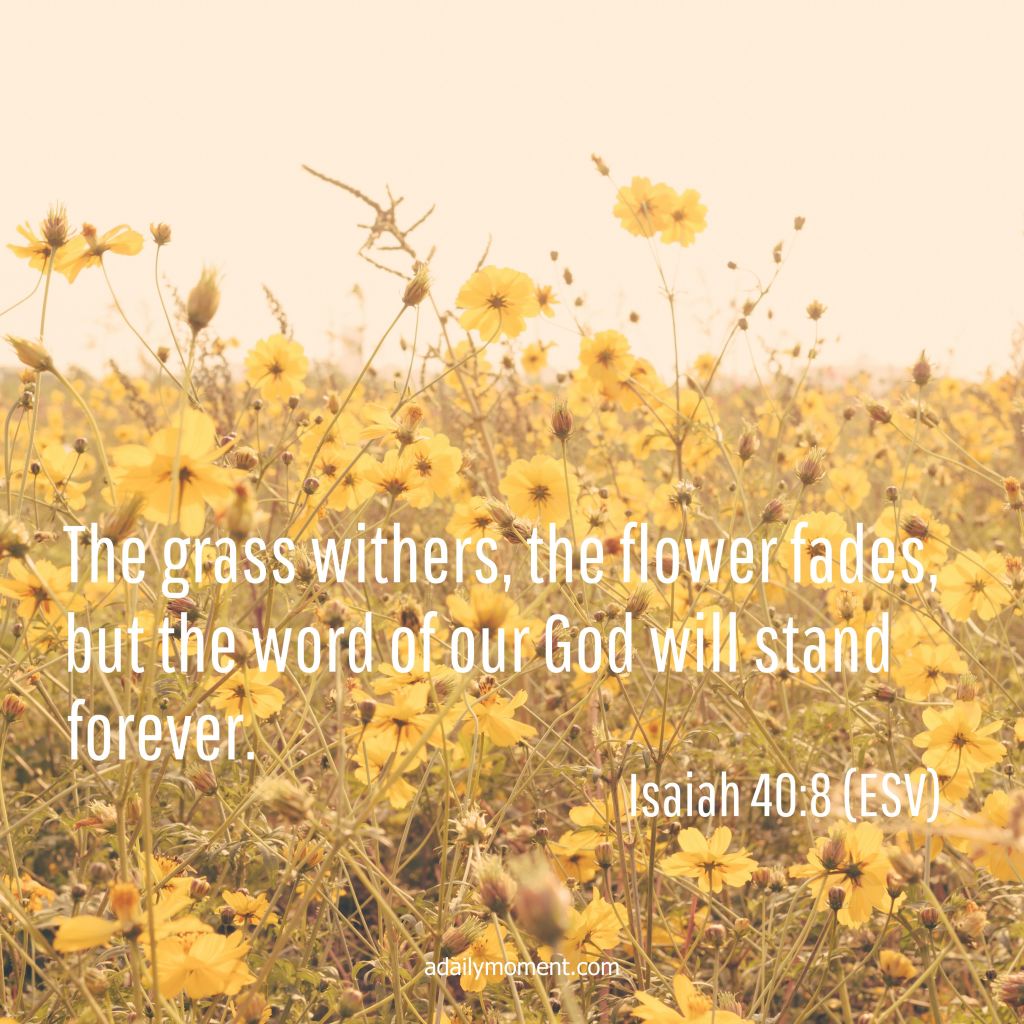 puricare chronicles: HIS WORD WILL STAND - Some say it’s myth and ...