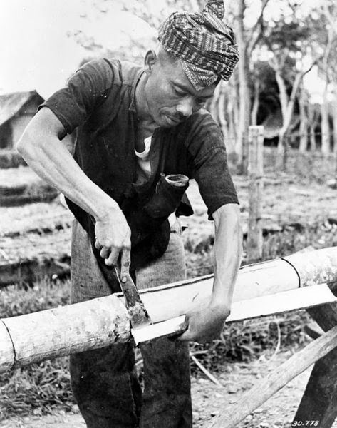 Kang Ade: Kina, Iklim dan Junghuhn