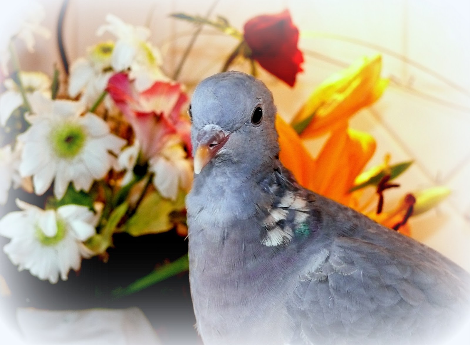 Inutile pour les uns indispensable pour les autres ! !: La suite de l ...