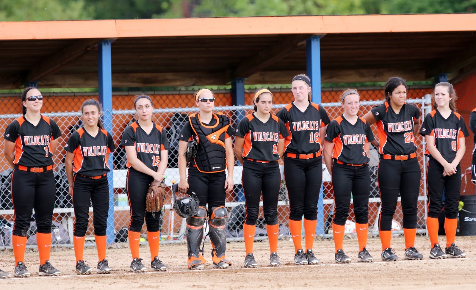 Mark Kodiak Ukena: IHSA Girls Softball Class 4A Sectional Semifinals ...