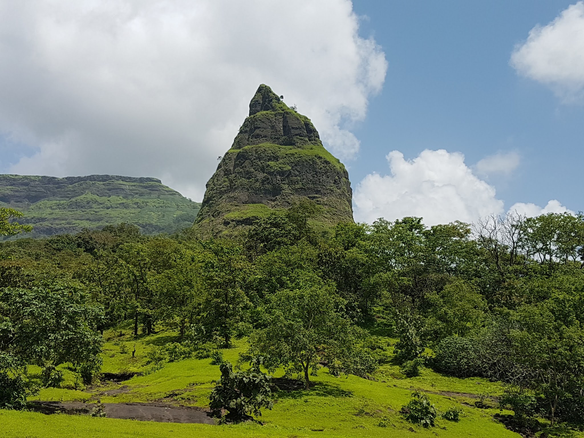 Bhimashankar Trek: A Perfect Combo Pack of Adventure,Nature and ...