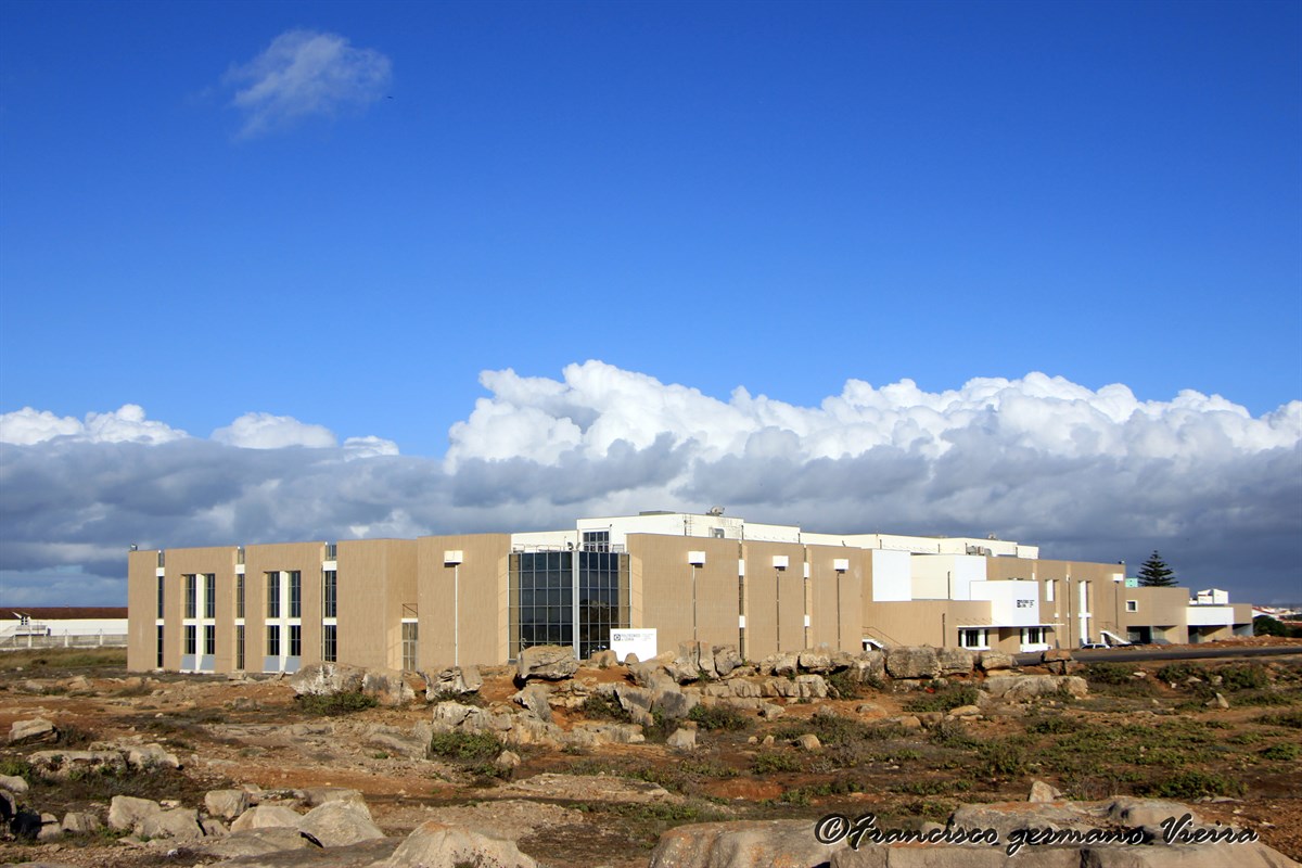 PINTURAS EM PENICHE: Nos vinte anos da ESTM Peniche