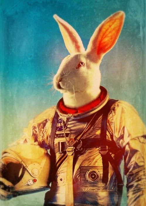 She Who Seeks: In Praise of Rabbits