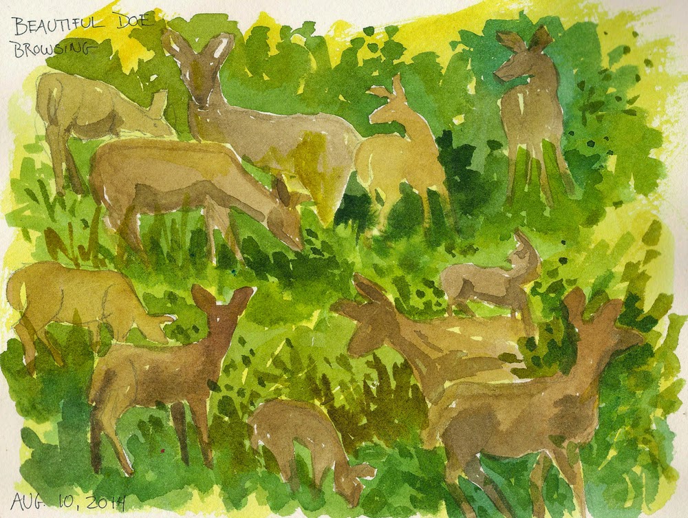 Jan Blencowe's Sketchbook Hypothesis: Nature Sketches Jan Blencowe's Sketchbook Hypothesis: Nature Sketches