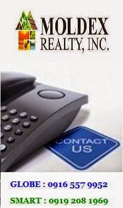 MOLDEX GROUP OF COMPANIES, MOLDEXCELLENT, MOLDEX REALTY, MOLDEX ...