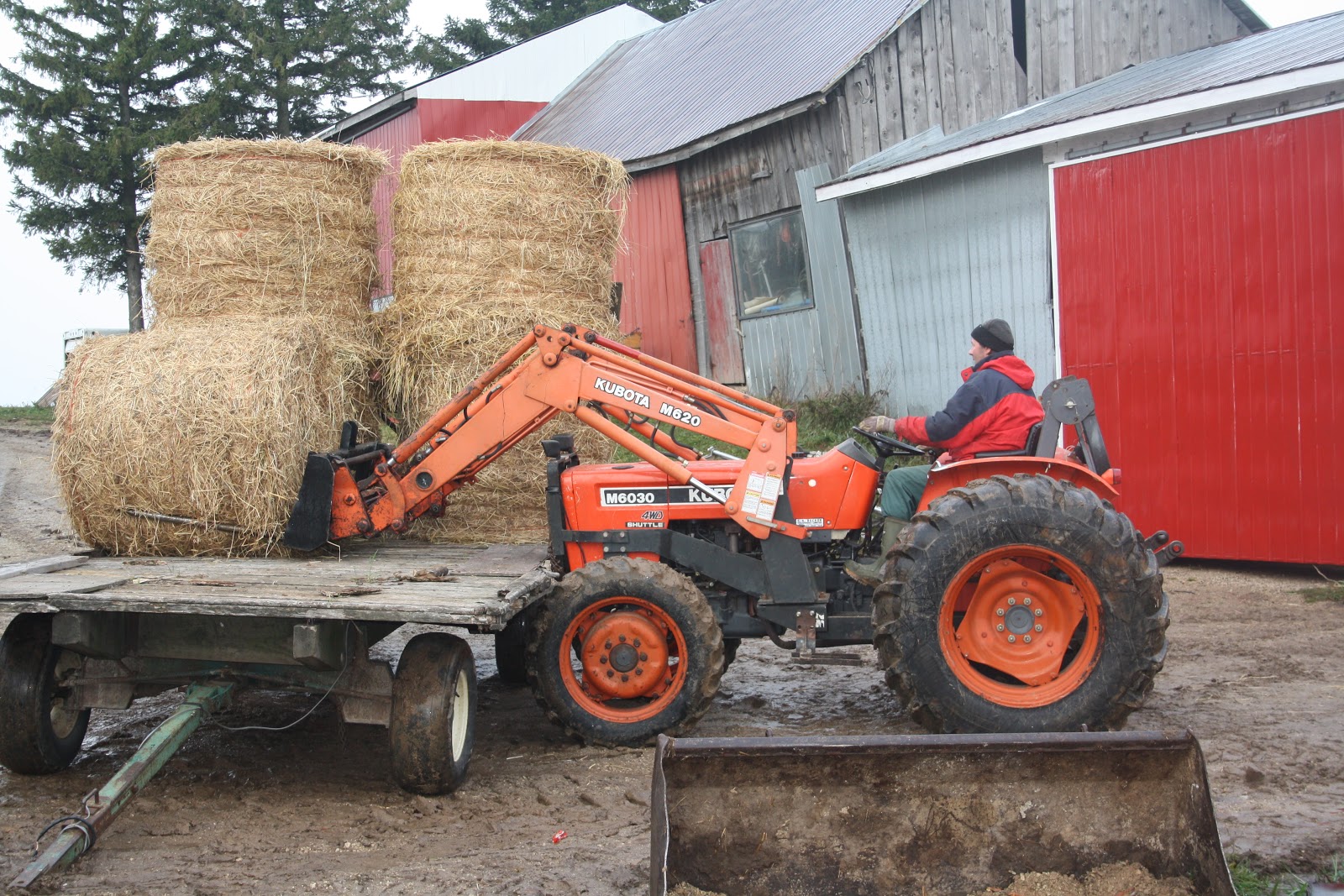 Homesteader Wannabe: More Random Farm Photos