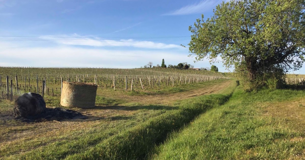 Diary of a Jardin Paysan