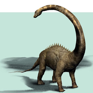 Kid's Animal Facts: All About Diplodocus
