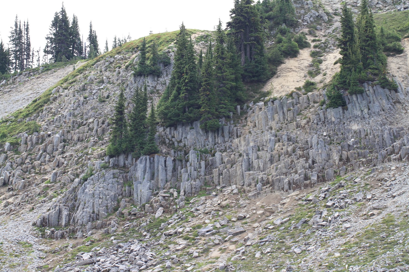 TravelMarx: Mount Rainier National Park – Indian Bar via Cowlitz Divide ...