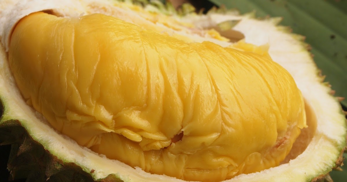 RESEPI SERIMUKA DURIAN