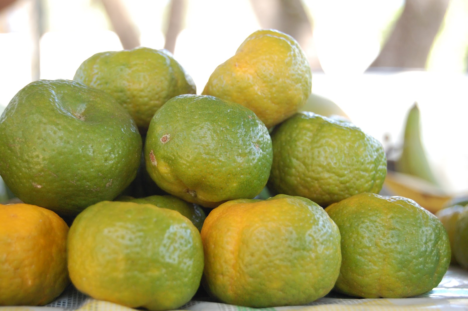 the saipantry: To market, to market....