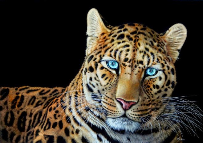 heather-lara-animal-paintings-fineartandyou2 | Pinturas de animales ...