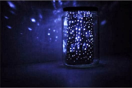 DIY Star Light Vase - The Idea King