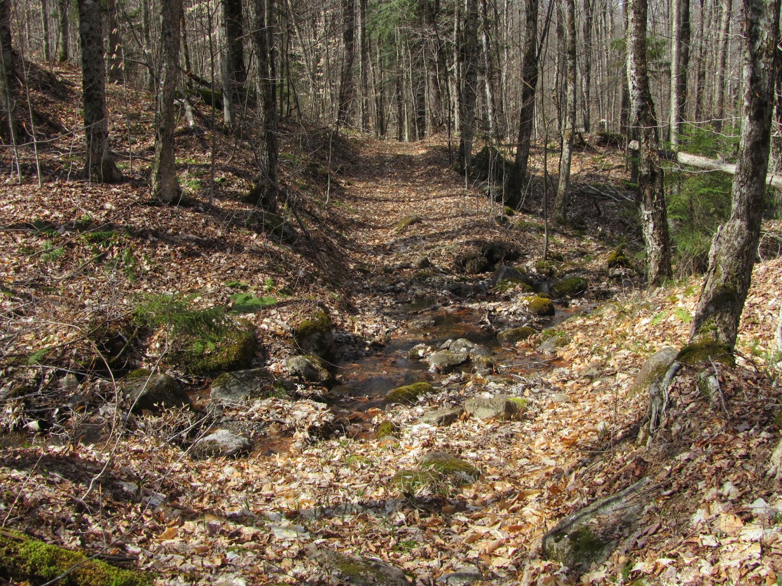 Tomcat's Outdoor Adventures: Backpacking the Seward Range- Cold River Loop
