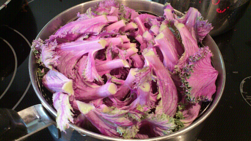 Colin Firth Diet Club: Who the Fig am I? and Making a Purple Stew