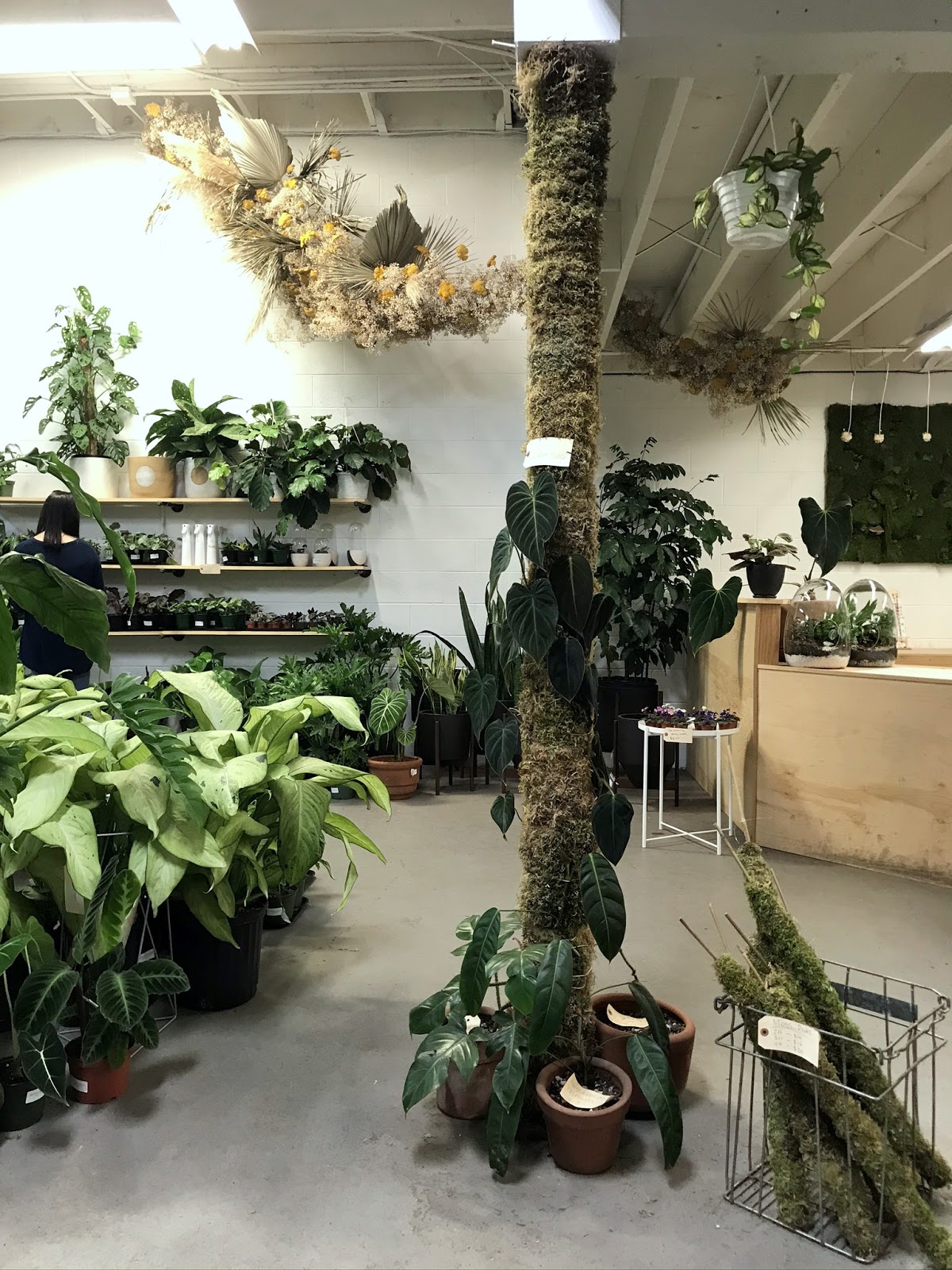 danger garden: Visiting Arium Botanicals, in Portland