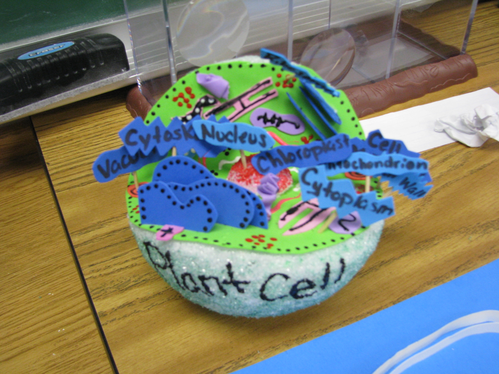Teaching the Kid: The Cell Project!