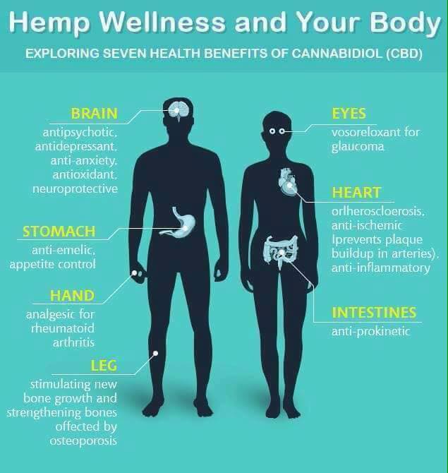 Inspirational Village by DBLorgan: The Effects of CBD Oil on the body ...