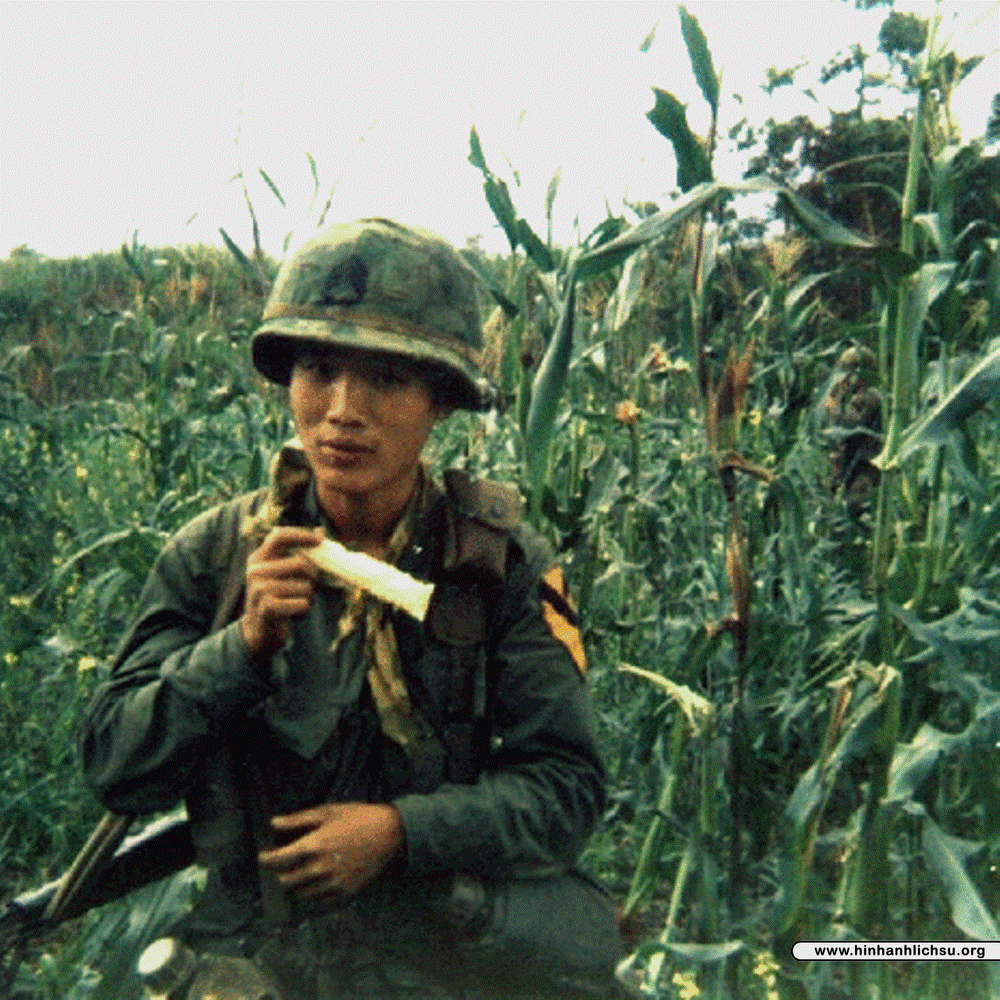 Trinh sát Hổ kích Việt Nam Cộng Hòa (Kit Carson Scouts) - Hình Ảnh Lịch ...