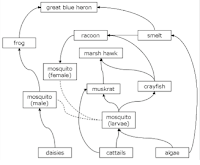 The Good Mosquito: Would a world without mosquitoes really be all that ...