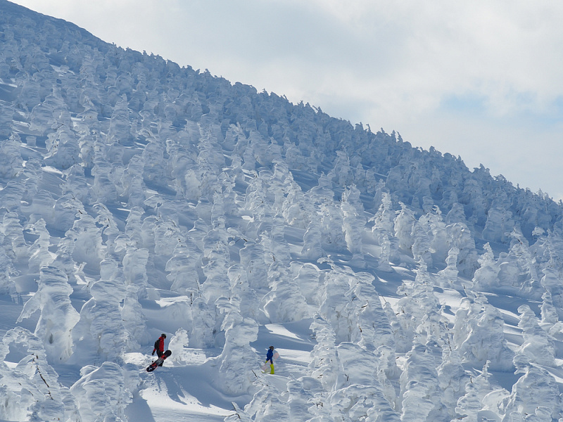 Snow Monsters of Mount Zao, Japan (with Map & Photos)