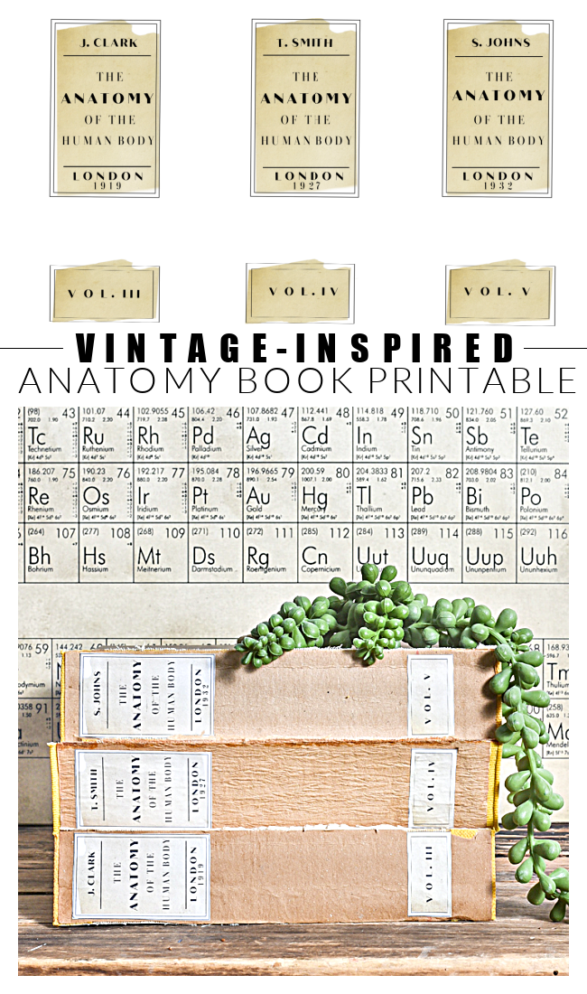 Free Printable: Vintage-Inspired Anatomy Book Labels | Little House of ...