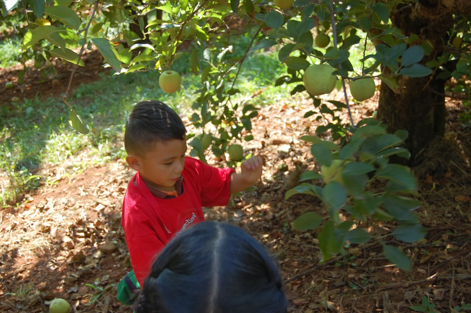 Holy Moly Preschool!