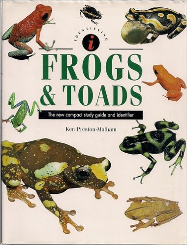 Children's Books about Frogs and Toads - Every Star Is Different