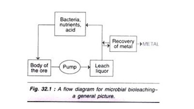 Bioleaching and Process