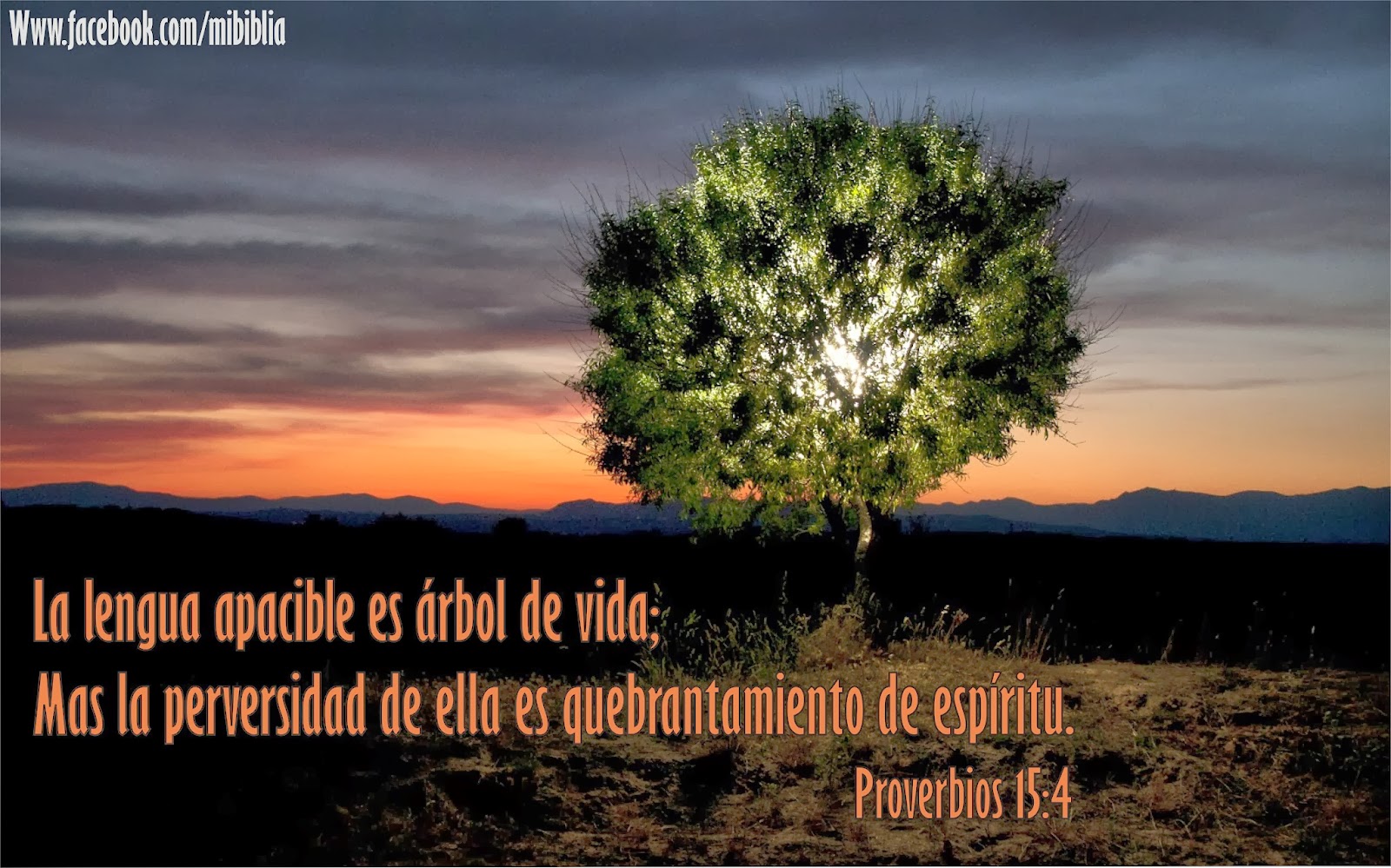 Cristo Aliento de Vida