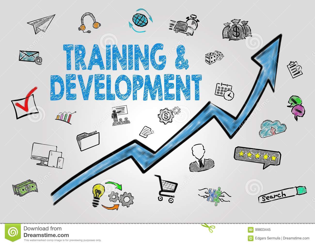 PEOPLE AND ORGANIZATION: THE IMPORTANCE OF TRAINING AND DEVELOPMENT IN ...
